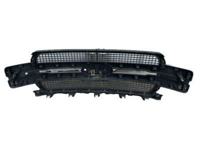 OEM Ford JL3Z-8200-MA - Grille