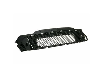 OEM Ford FR3Z-8200-AB - Upper Grille
