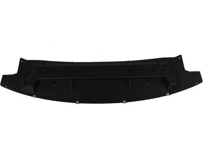 OEM Ford AE5Z-8327-B - Lower Deflector