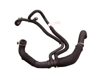 OEM Ford F81Z-8286-BB - Hose Assembly