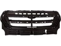 OEM Ford GJ5Z-8200-C - Grille
