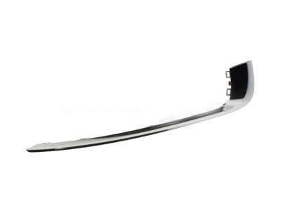 OEM GM 13238373 - Molding