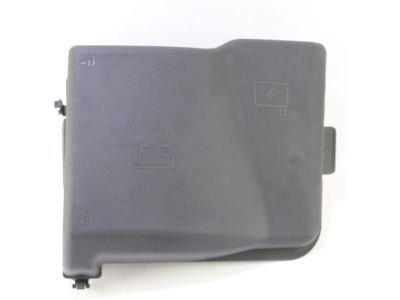 OEM GM 25901331 - Cover, Battery