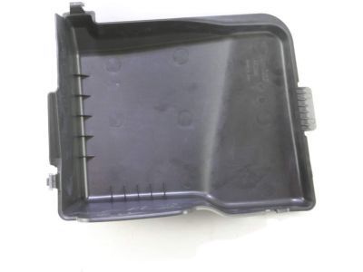 OEM GM 25901331 - Cover, Battery