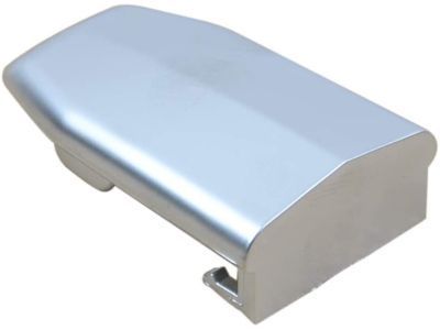 OEM GM 13596115 - Insert, Front Side Door Lock Cyl Cover *Extra Bright