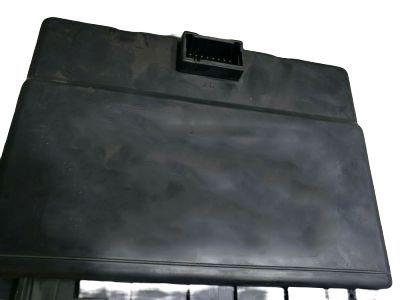 OEM GM 15116066 - Module, Body Control