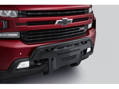 OEM GM 84027398 - Brush Guard