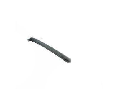 OEM GM 92241505 - Seal, Folding Top Side (At Rail)