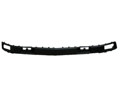 OEM GM 22936496 - Lower Molding