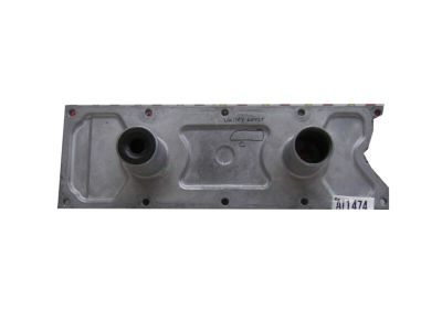 OEM GM 12575742 - Cover Asm-Engine Block Valley