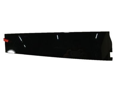 OEM GM 84021610 - Applique Asm-Rear Side Door Window Frame Rear