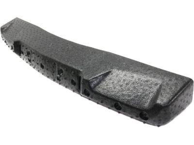 OEM GM 22891698 - Absorber