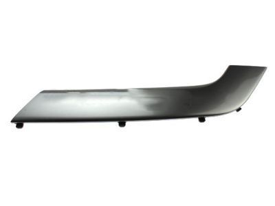 OEM GM 23291512 - Trim Molding