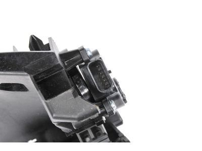 OEM GM 23390867 - Pedal Asm-Accelerator