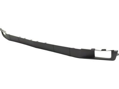 OEM GM 23243961 - Lower Molding