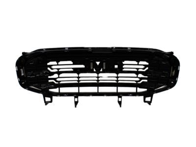 OEM GM 84165554 - Grille Assembly