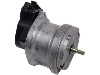 OEM GM 25140219 - Module Asm, Throttle Position Sensor Interface