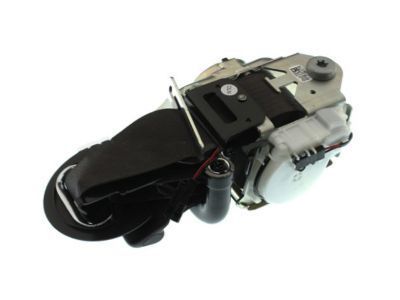 OEM GM 19351680 - Outer Belt Assembly