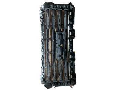 OEM GM 23155056 - Grille Assembly