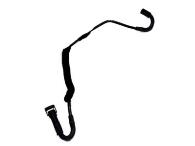 OEM GM 24506665 - Tube Asm -Evap Emission Canister Purge