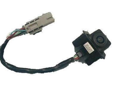 OEM GM 23205689 - Camera