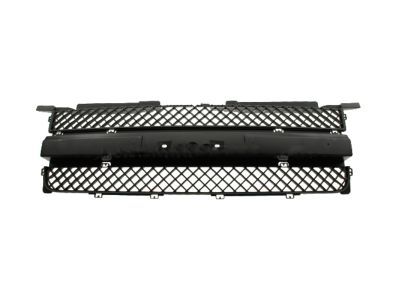OEM GM 15134119 - Grille-Radiator