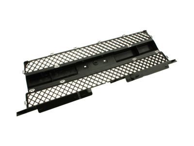 OEM GM 15134119 - Grille-Radiator