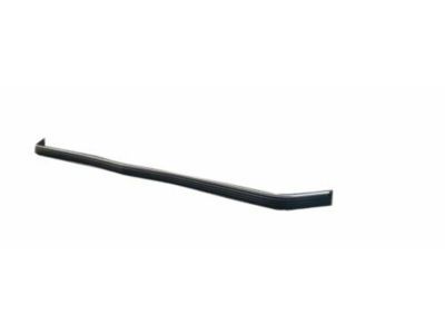 OEM GM 15574113 - Strip, Front Bumper Rubber