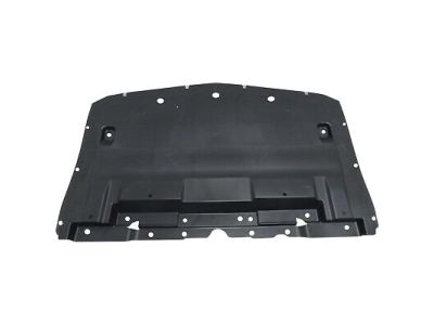 OEM GM 23329708 - Lower Deflector