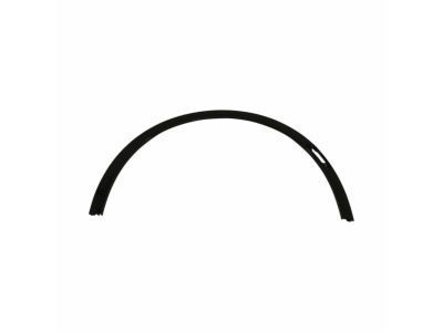 OEM GM 84096070 - Wheel Opening Molding