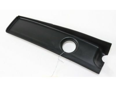 OEM GM 23200191 - Gutter Asm-Back Body Opening Side Lower *Black