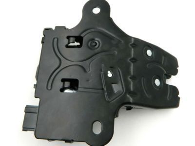 OEM GM 13501988 - Latch