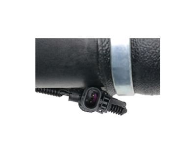 OEM GM 23151122 - Absorber Asm-Rear Leveling Shock