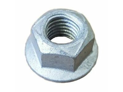 OEM GM 11569691 - Protector Nut