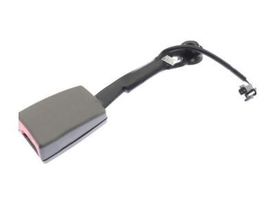 OEM GM 19208289 - Latch