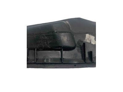 OEM GM 20888237 - Extension-Air Inlet Grille Panel