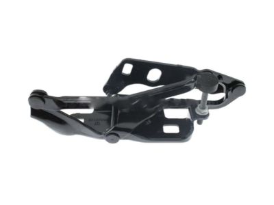 OEM GM 15935339 - Hinge Asm-Hood