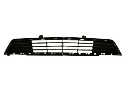 OEM GM 84107965 - Lower Grille