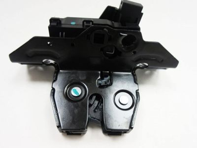 OEM GM 13508110 - Latch Asm-Lift Gate