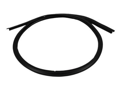 OEM Mopar 4805887AB - Molding-Windshield