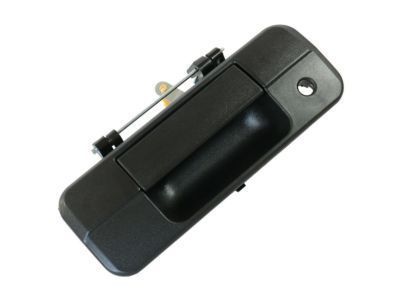 OEM Toyota 69090-0C050 - Handle Assy, Tail Gate