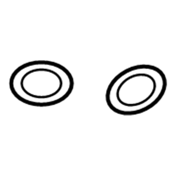 GM 20987829 Converter & Pipe Seal