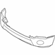 Ford FL1Z-8419-BPTM Moulding