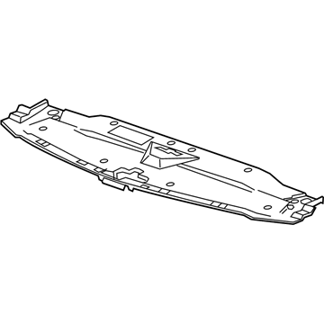 OEM GM 23256452 - Sight Shield