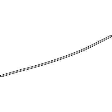 OEM GM 95978989 - Lower Weatherstrip